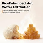 Lion's Mane gummies for cognitive support