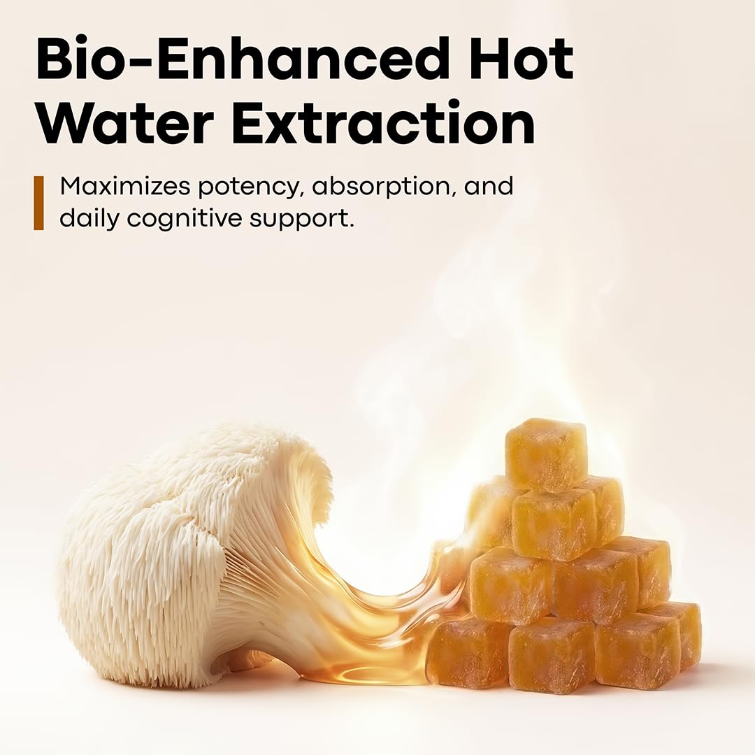 Lion's Mane gummies for cognitive support