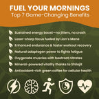 Lion's Mane gummies for energy boost