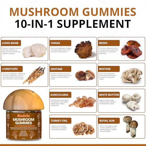 Lion’s Mane gummies for focus