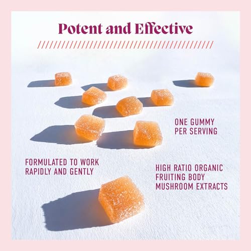 lion's mane gummies for focus