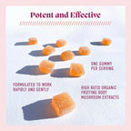 lion's mane gummies for focus