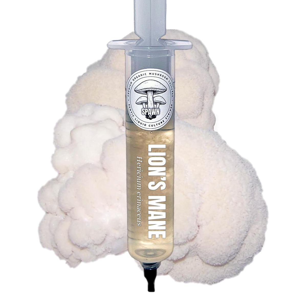 Lion's Mane liquid culture for growing