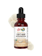 lion's mane liquid drops for focus