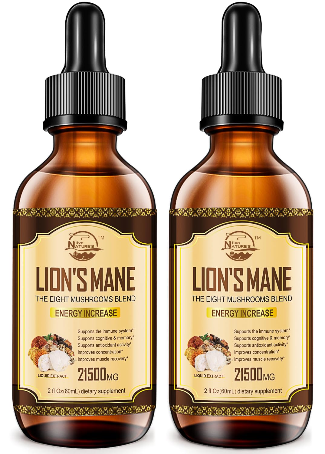 lion's mane liquid extract benefits