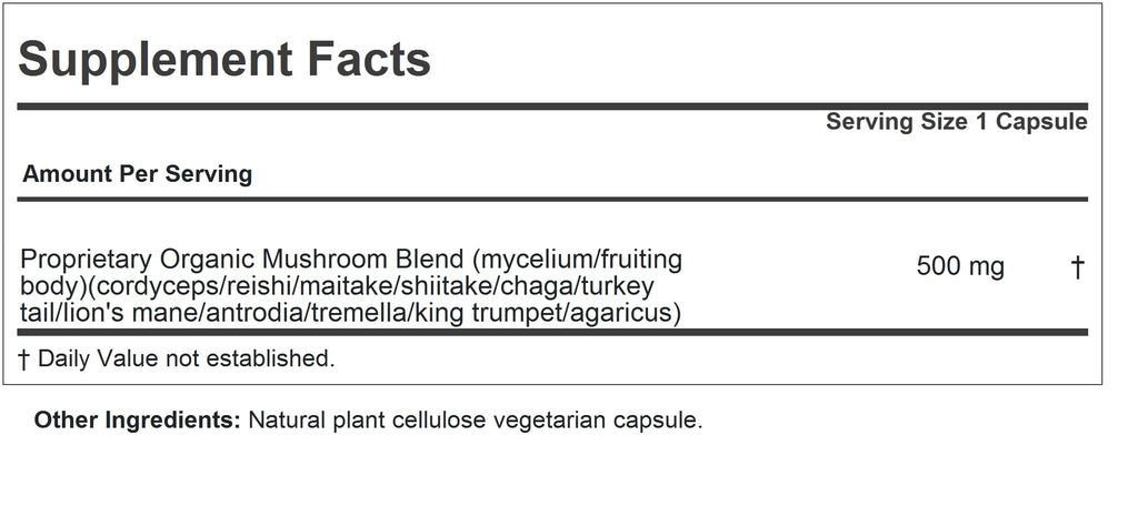 Lion's Mane mushroom benefits for focus