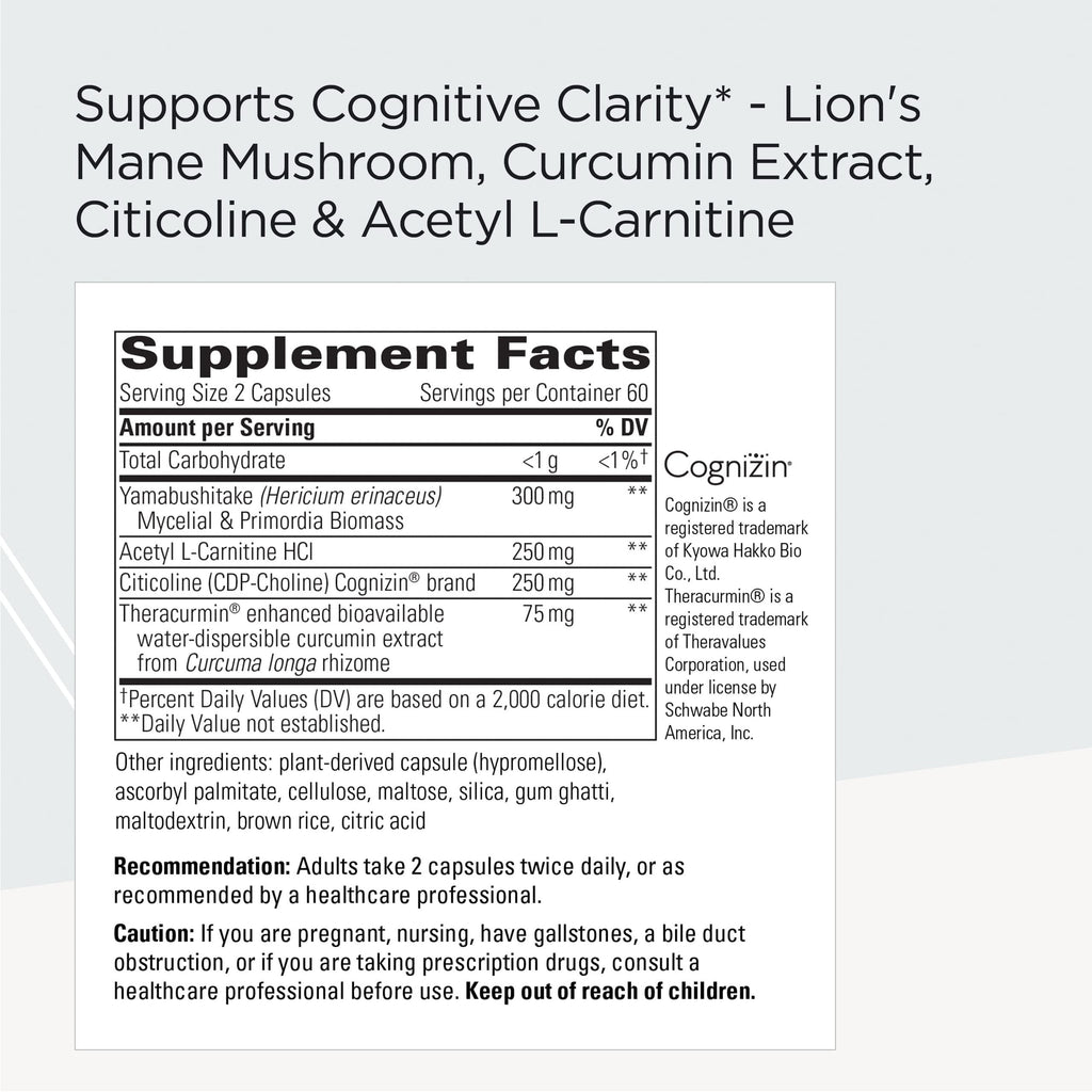 Lion’s Mane mushroom benefits