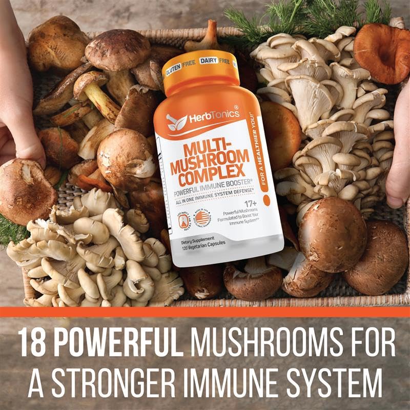 Lion's Mane mushroom benefits