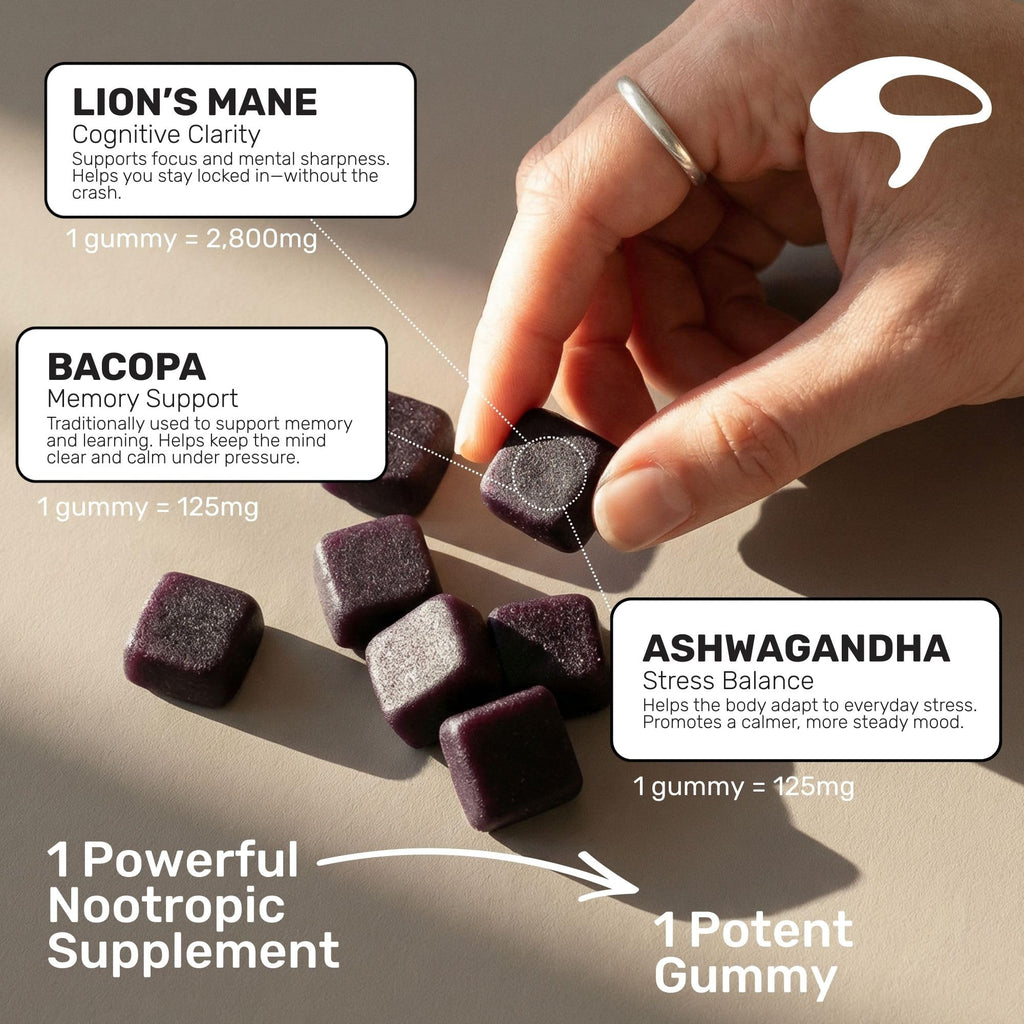 Lion's Mane mushroom benefits