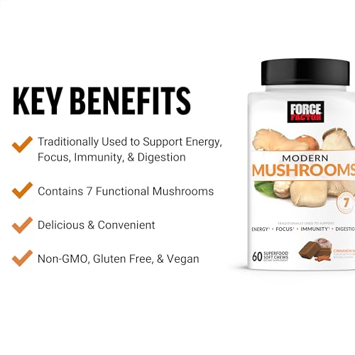 Lion's Mane mushroom benefits