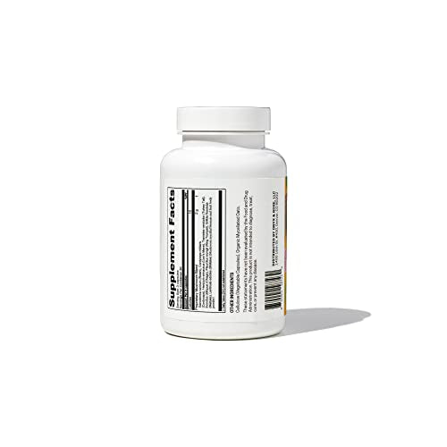 Lion's Mane mushroom benefits