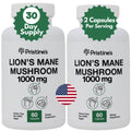 Lion's Mane mushroom brain booster