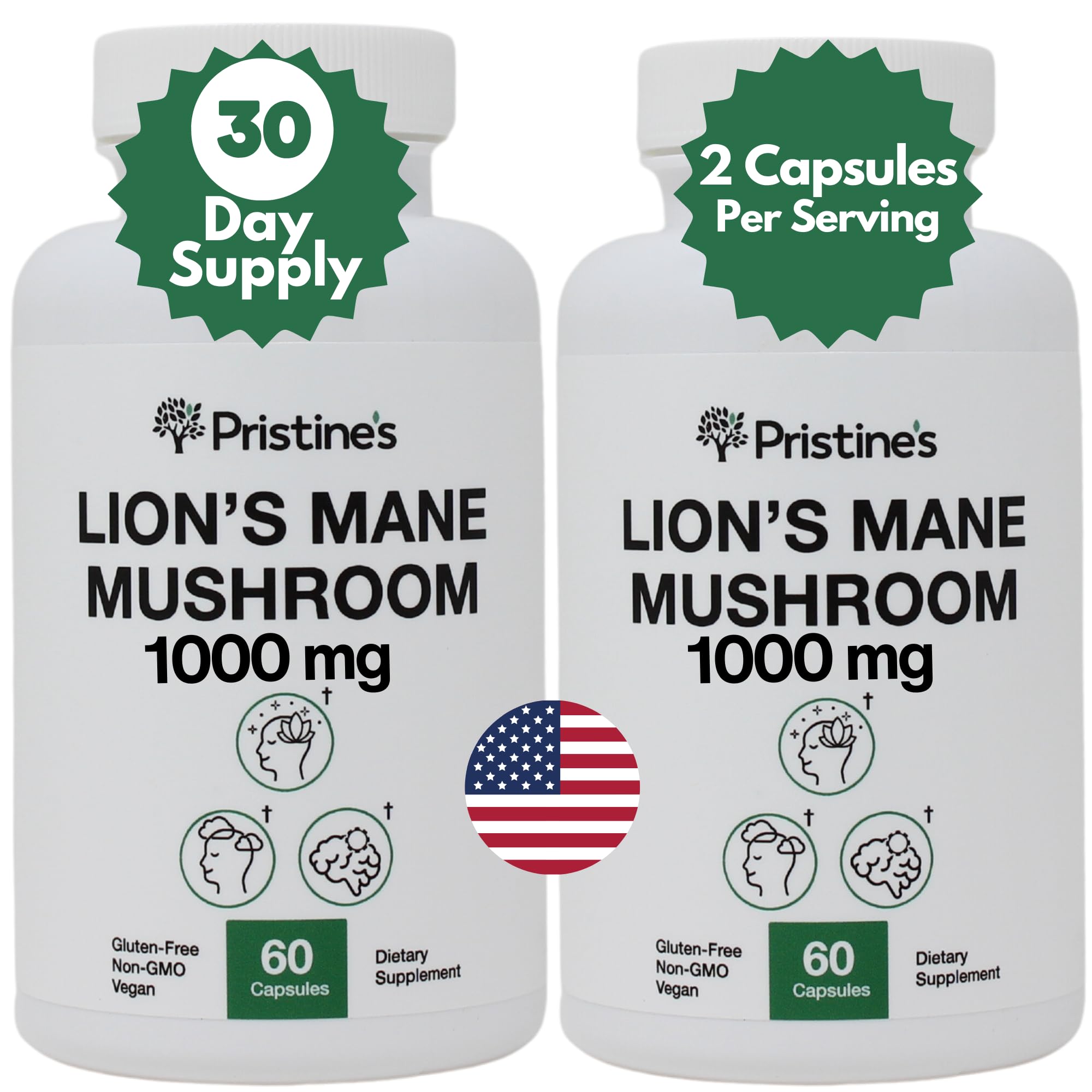 Lion's Mane mushroom brain booster