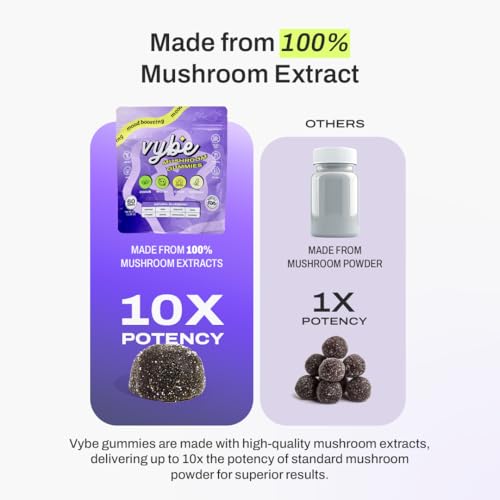 Lion's Mane mushroom brain support