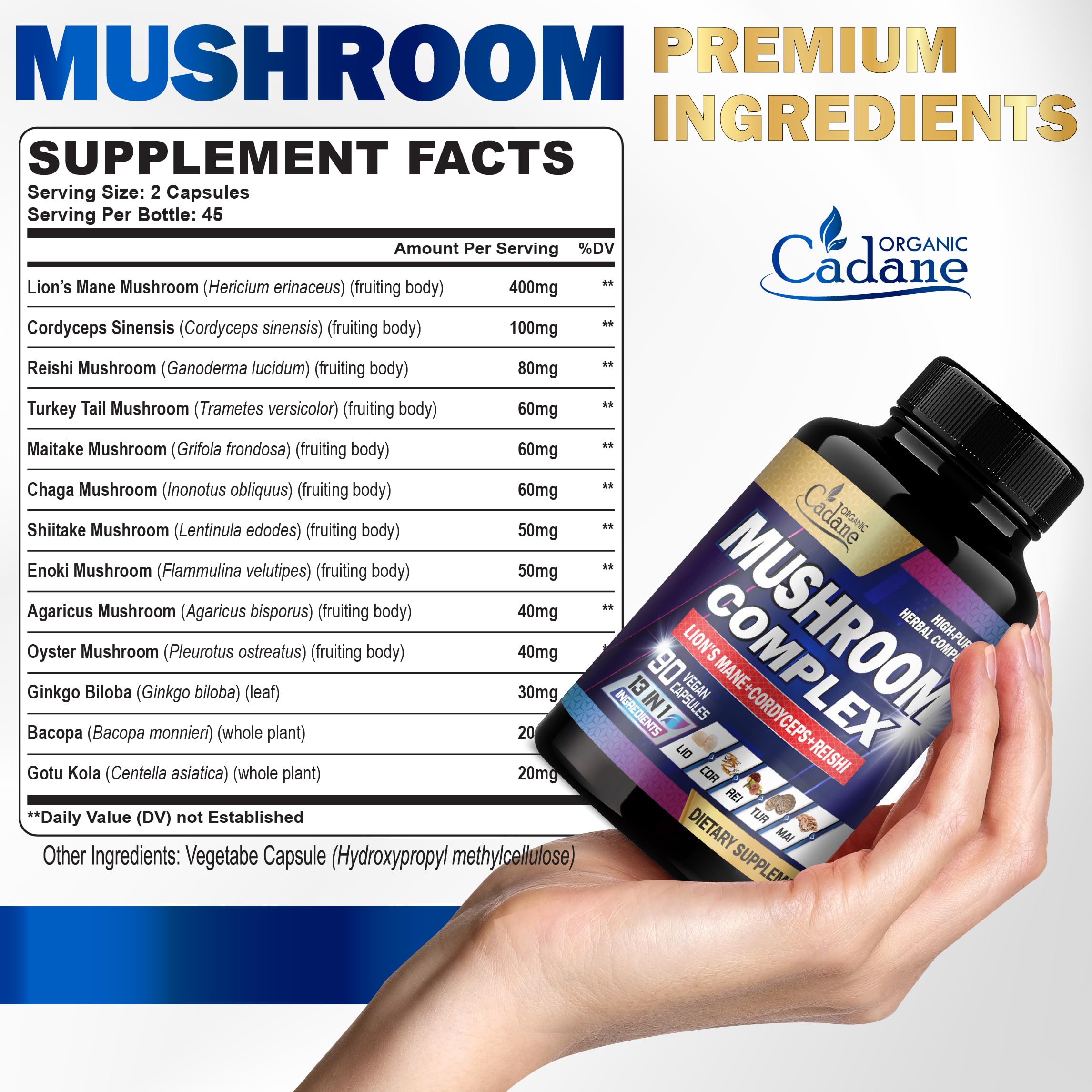 Lion's Mane mushroom capsules benefits