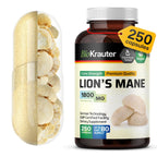 lion's mane mushroom capsules for focus