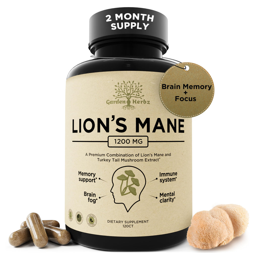 Lion's Mane mushroom capsules for focus