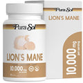Lion's Mane mushroom capsules for focus