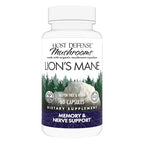 lion's mane mushroom capsules