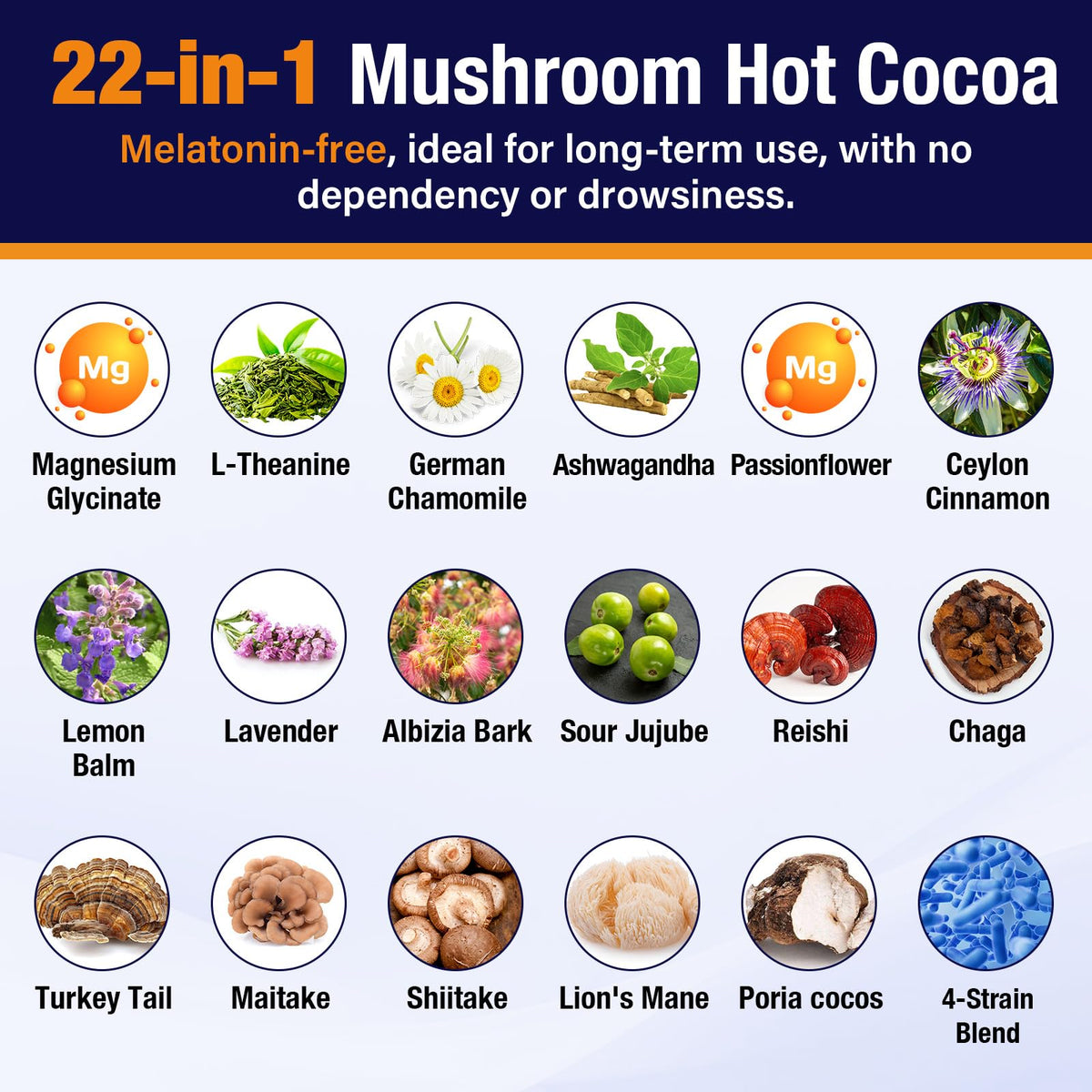 lion's mane mushroom cocoa powder