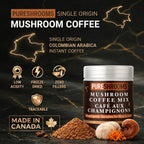 lion's mane mushroom coffee for focus
