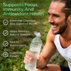 lion's mane mushroom cognitive boost