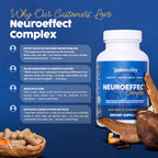 lion's mane mushroom cognitive boost