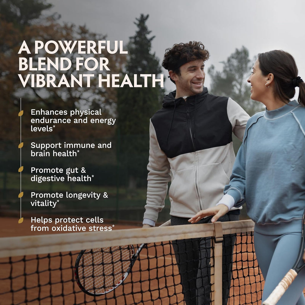lion's mane mushroom cognitive boost