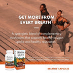 lion's mane mushroom cognitive boost
