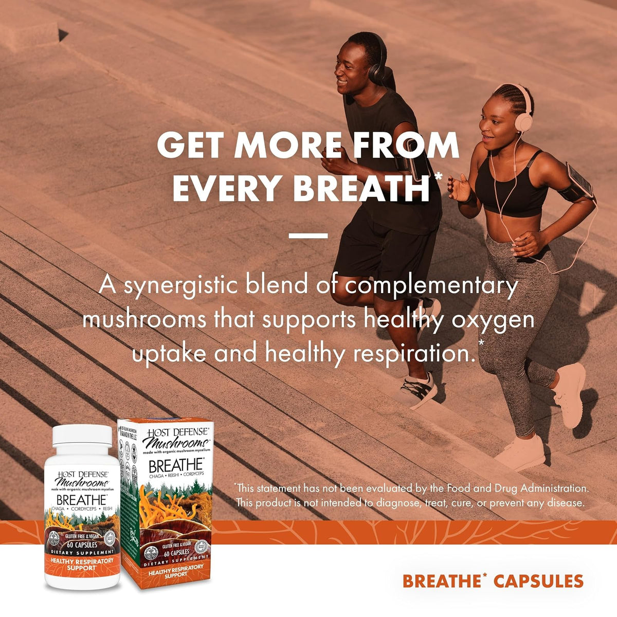 lion's mane mushroom cognitive boost