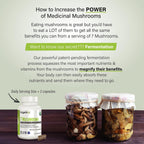 lion's mane mushroom cognitive boost