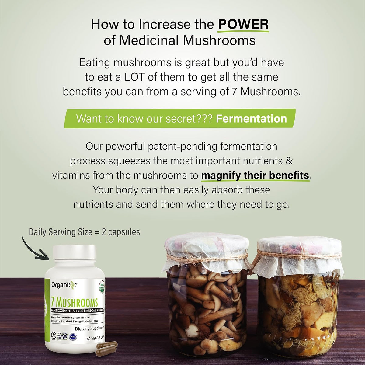 lion's mane mushroom cognitive boost