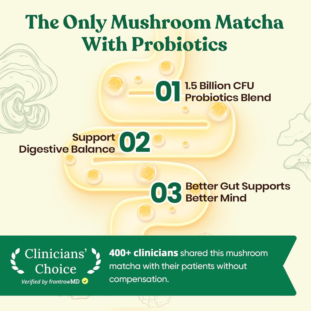 lion's mane mushroom cognitive boost