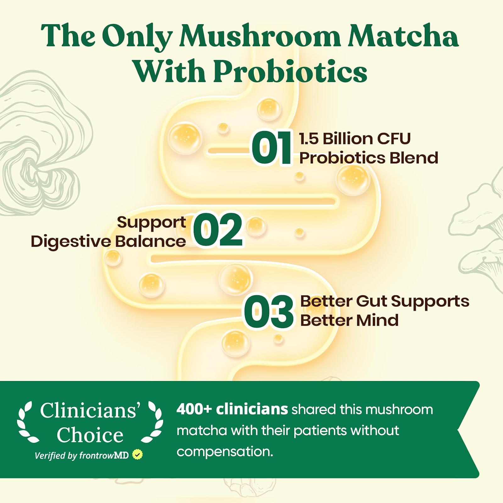 lion's mane mushroom cognitive boost