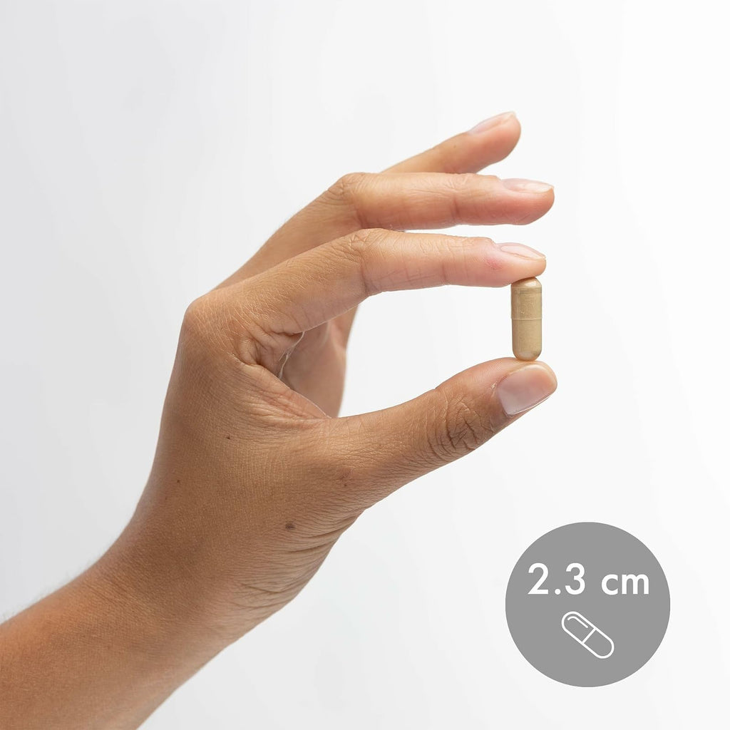 lion's mane mushroom cognitive boost