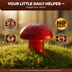 lion's mane mushroom cognitive boost