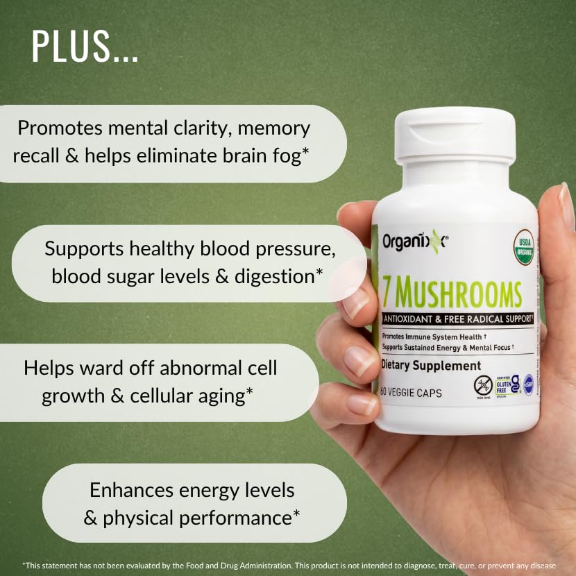 lion's mane mushroom cognitive boost
