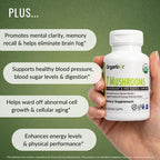 lion's mane mushroom cognitive boost
