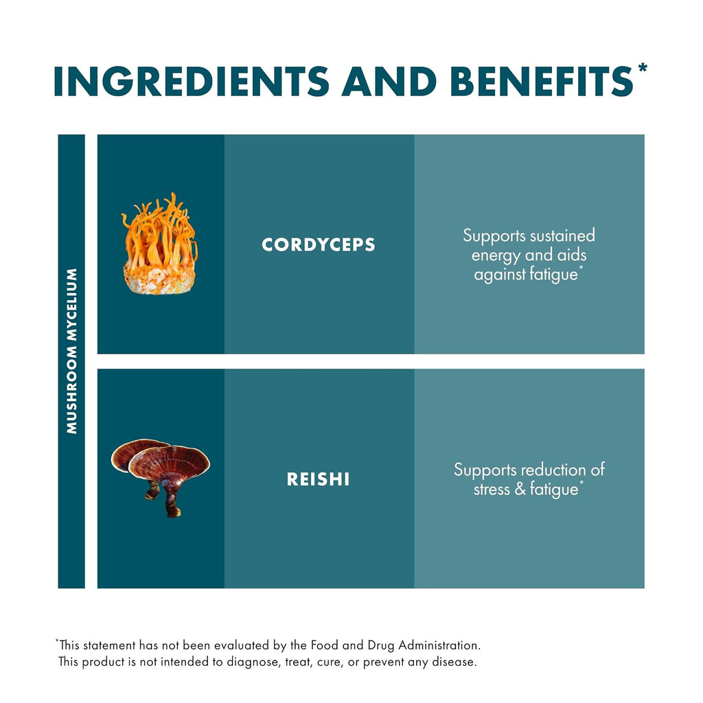 lion's mane mushroom cognitive boost