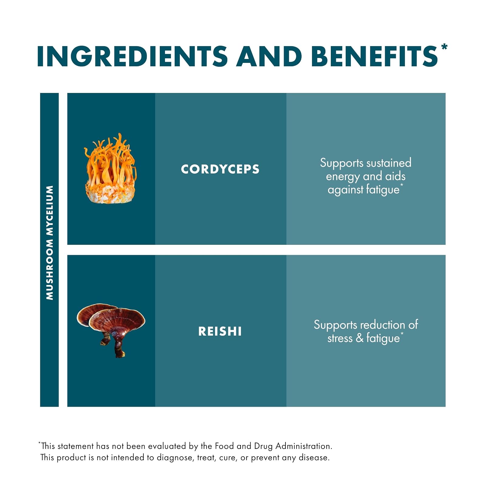 lion's mane mushroom cognitive boost