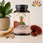 lion's mane mushroom cognitive boost