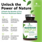 Lion's mane mushroom cognitive boost