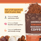 lion's mane mushroom cognitive boost