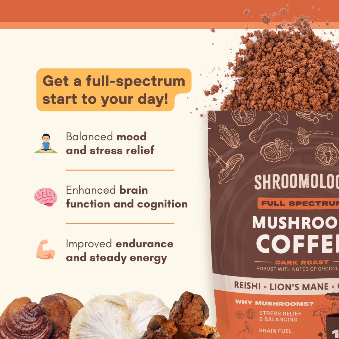 lion's mane mushroom cognitive boost