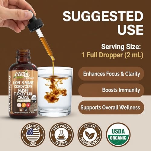 lion's mane mushroom cognitive booster