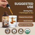 lion's mane mushroom cognitive booster