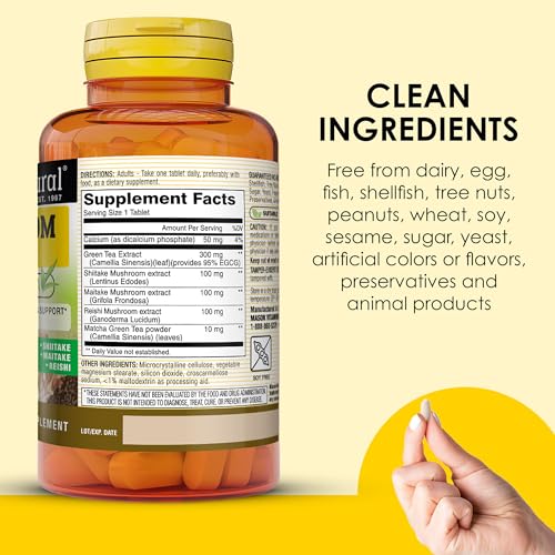 lion's mane mushroom cognitive booster