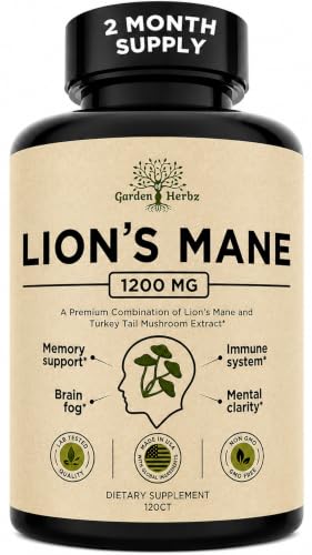 Lion's Mane mushroom cognitive booster