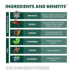 lion's mane mushroom cognitive booster