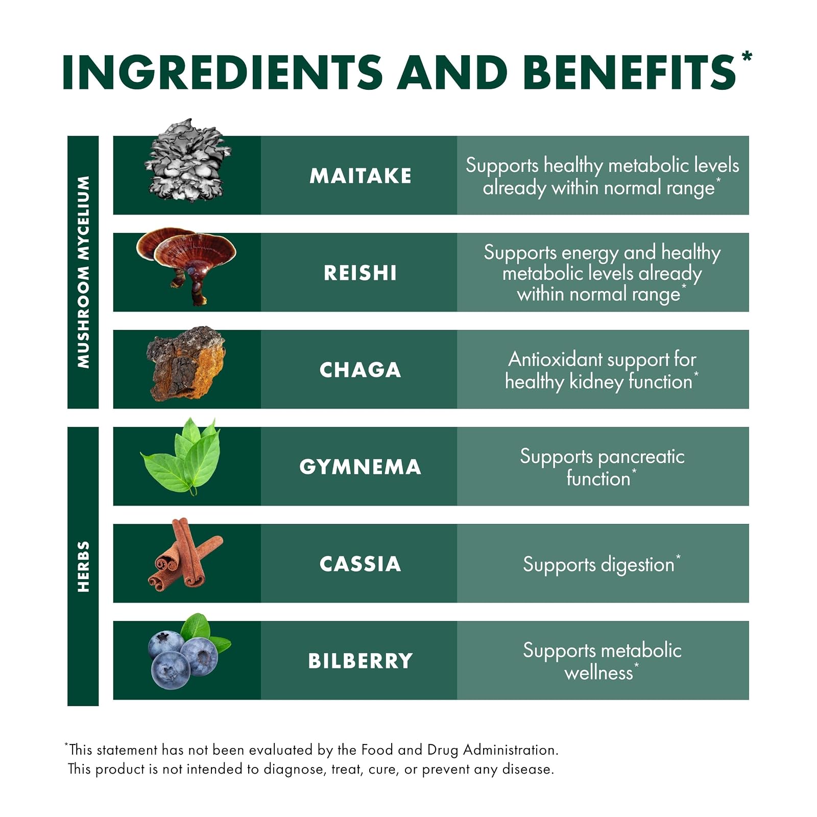 lion's mane mushroom cognitive booster